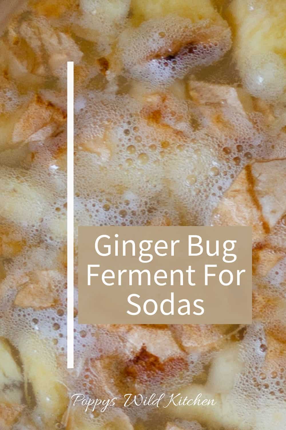 Ginger Bug Recipe - Poppys Wild Kitchen