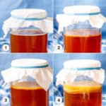How To Make A Scoby - Simple Steps - Poppys Wild Kitchen