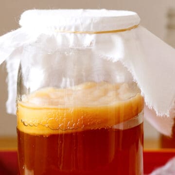 How To Make A Scoby - Simple Steps - Poppys Wild Kitchen