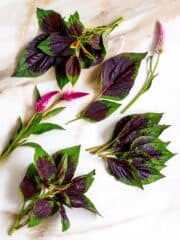 How To Eat Lagos Spinach - Poppys Wild Kitchen