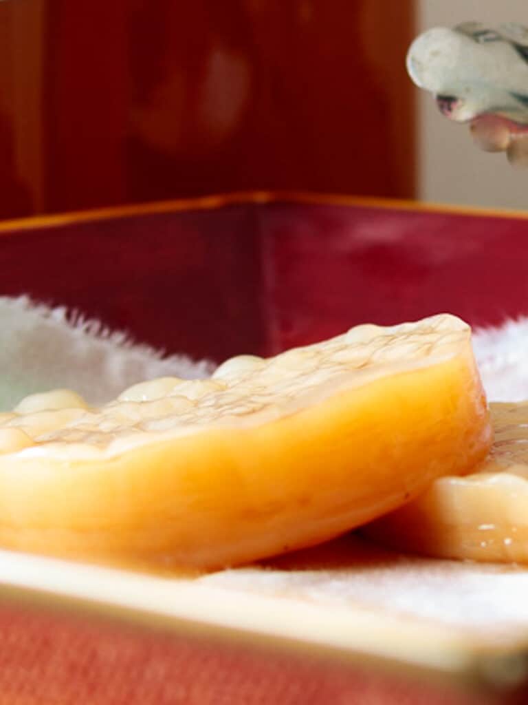 How To Make A Scoby - Simple Steps - Poppys Wild Kitchen